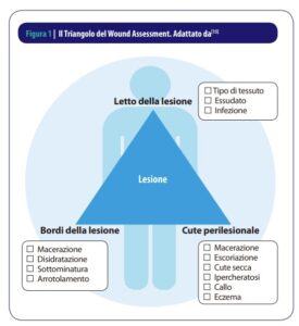 Triangolo del Wound Assessment